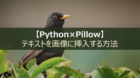 【python】テキスト文字を画像に描画・フォントデザイン｜pillowによる画像処理 Dxcel Wave