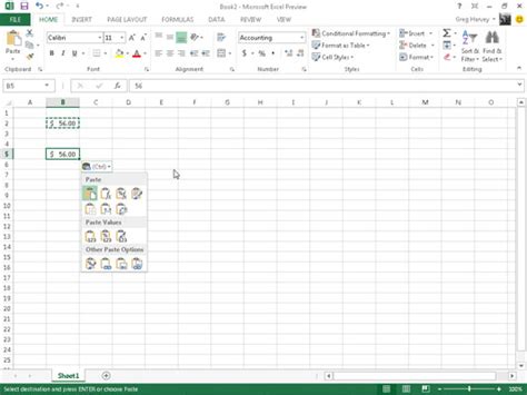 Paste Options In Excel Dummies