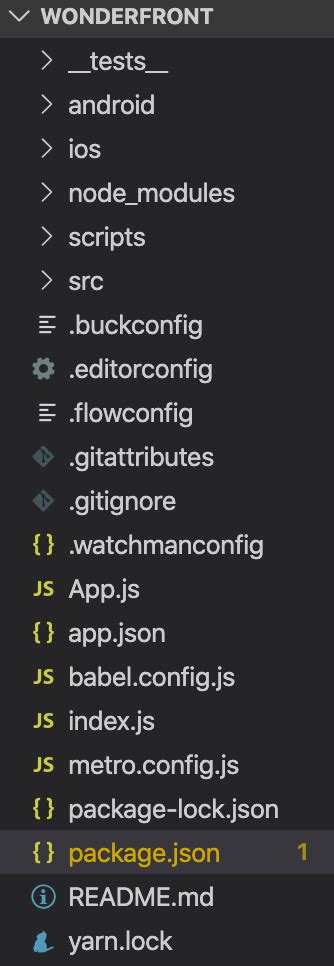 Xcode React Native Project Could Not Connect To Development Server