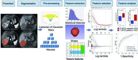 Flowchart Of Texture Analysis Download Scientific Diagram