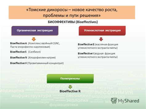 Презентация на тему: "«Томские дикоросы – новое качество роста ...
