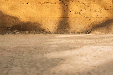 아름다움의 개념 화장품 프리젠 테이션을위한 최소한의 추상적 인 콘크리트 질감 배경 베이지 색 천연 돌 벽에 열대 야자 잎 그림자가있는 프리미엄 연단 0명에 대한 스톡 사진