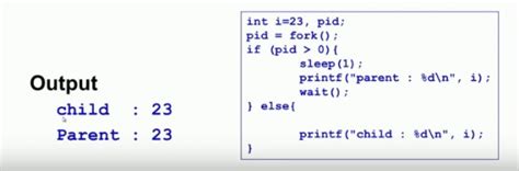 Operating System Fork Output