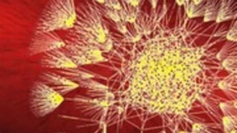 Foundations For Big Data Analysis With Sql Coursera