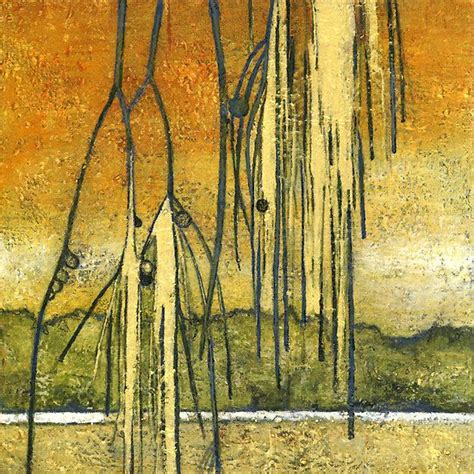 13 All Things Sheoak Ideas Australian Native Plants Seed Pods Trees