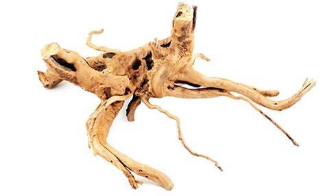 Aqua One Natural Azalea Root Decoration Homeleigh Garden Centres