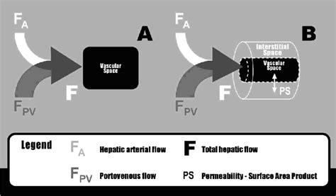 Schematic Diagram Illustrating A Dual Input Dual Compartment Tracer Download Scientific Diagram