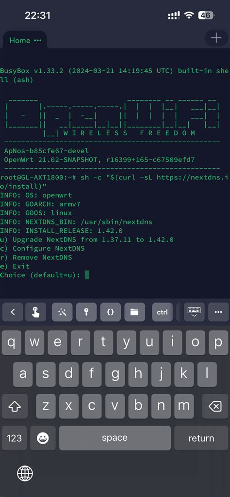 update nextdns cli vpn dns leaks glet