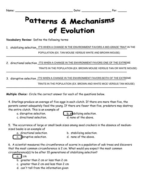 Types Of Natural Selection Worksheet E