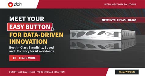 Ddn Intelliflash Flash Storage Ddn