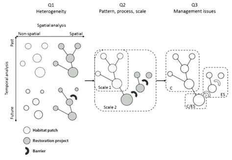 3 A Framework Of Core Landscape Ecological Research Topics After Wu