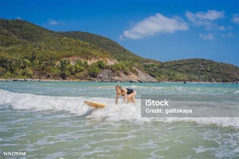 아름다운 젊은 여자가 파도를 타고 푸른 하늘 구름과 투명 한 파도의 배경에 서핑 스포티 서퍼 여자 야외 활동 30 34세에 대한 스톡 사진 및 기타 이미지 Istock