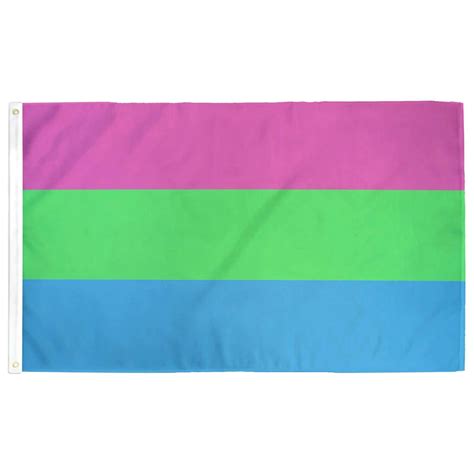 Large Polysexual Flag Pride Whanganui