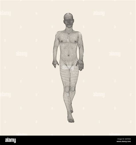 Walking Man 3d Human Body Model Geometric Design Human Body Wire Model Vector Illustration