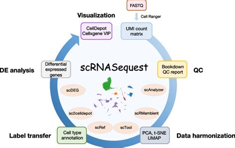 Scrnasequest An Ecosystem Of Scrna Seq Analysis Visualization And