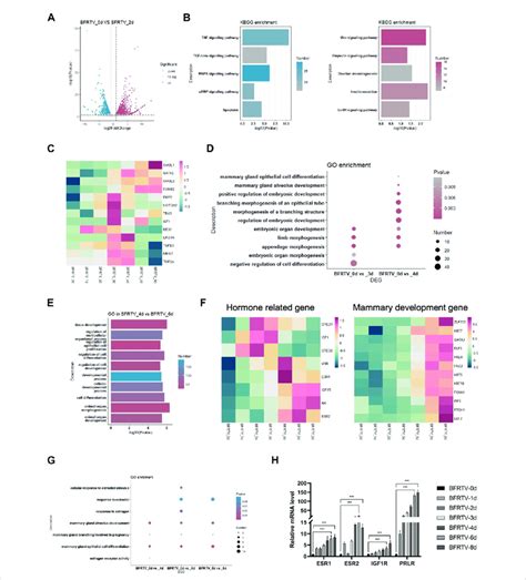 Bulk Rna Seq Analyses Data Showed The Reprogramming Cells Enter An