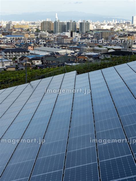 山の斜面に設置された太陽光発電所の写真素材 199053738 イメージマート