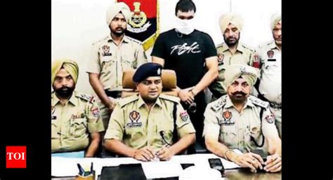 Man Shoots Sister Dead After She Elopes To Get Married Ludhiana News Times Of India