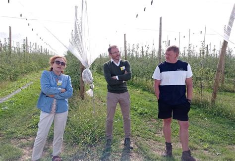 Variété Club | Pourquoi l’Alliance Perlim-Meylim a fait le choix de la ...