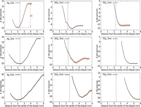 Pmfs Calculated For Np Insertion In The Lipid Bilayer Composed Of Dppc