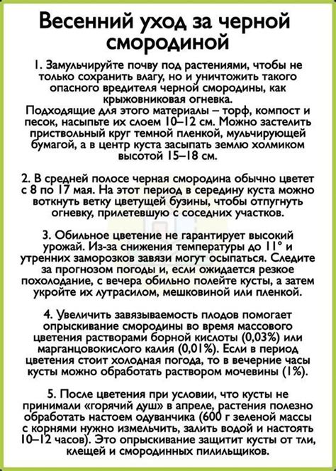 Как сделать своими руками ВКонтакте Tuinieren