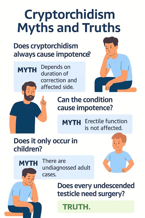 Cryptorchidism Myths And Facts