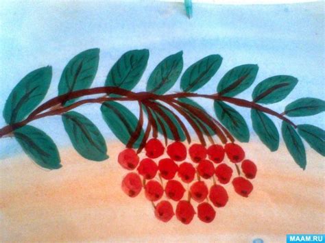 Малюнки олівцем для дітей горобина 30 фото ТЕГ