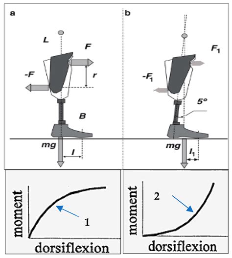 Biomimetics Free Full Text The Moment Criterion Of Anthropomorphicity Of Prosthetic Feet As