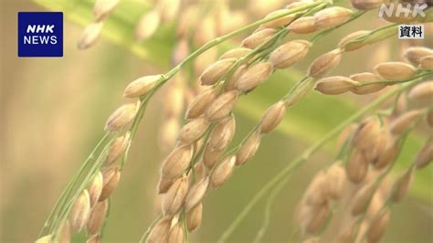 「食料・農業・農村基本法」改正案 閣議決定 食料安全保障強化 Nhk 食料安全保障