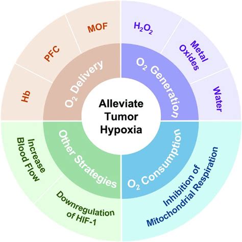 Summary Of Strategies Employed To Address Hypoxia In The Tumor Download Scientific Diagram