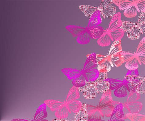 Pretty Butterfly Wallpapers Group 61