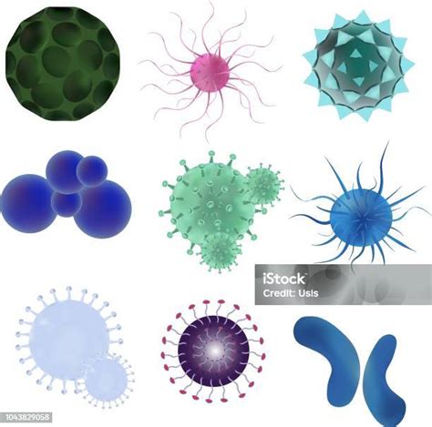 격리 된 현실적인 벡터는 바이러스와 박테리아를 설정합니다 바이러스 그리고 박테리아 현미경입니다 개념 감염 및 질병 세포 질병을 일으키는 미생물 곰팡이에 대한 스톡 벡터 아트
