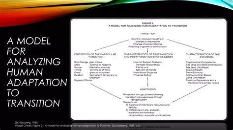 Schlossbergs Transition Theory Pdf Adult Education Education