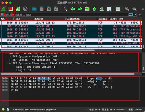 【计算机网络】使用wireshark数据包抓取与分析wireshark分组捕获 Csdn博客