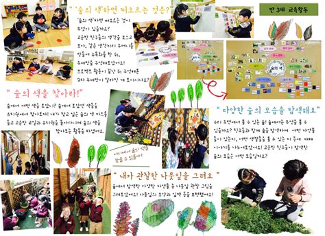 프로젝트활동 리라유치원