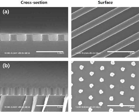 Figure 2 From Hela Cell Culture On Nanoimprinted Patterns Using Conducting Polymer Semantic