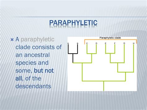 Clade Polyphyletic