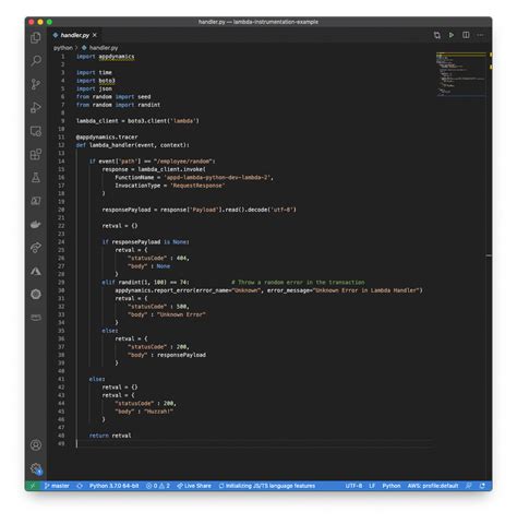 Lambda Lambda Lambda Instrumenting Python Lambda Functions With
