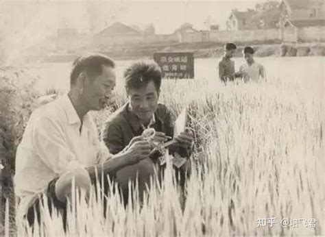 请向孩子这样讲述国之脊梁袁隆平 知乎