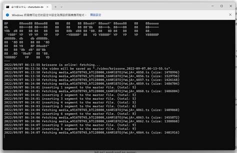Windows Instant Crash When Opening Issue Teacat Chaturbate Dvr GitHub