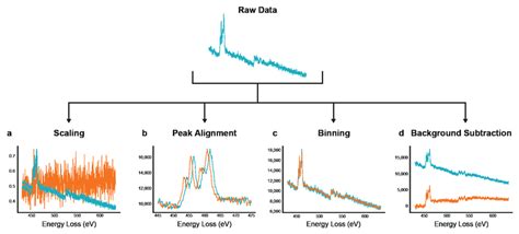 Data Preprocessing Strategies A D Strategies Include Scaling Of Download Scientific Diagram