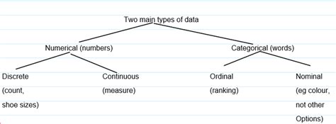 Classifying Data 7th 12th Grade Quiz Wayground
