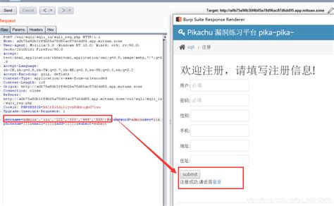 Pikachu靶场实战系列 Sql注入（insertupdate注入）pikachu靶场insert注入 Csdn博客