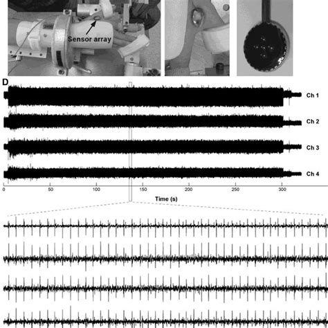 Experimental Setup Surface Sensor Array Surface Emg Semg Signals Download High Quality
