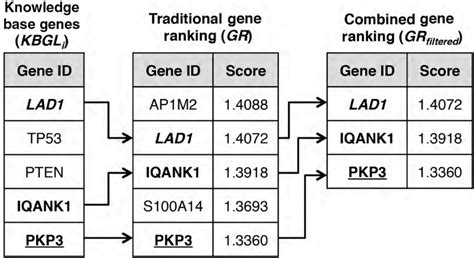 Gene Filtering Example Showing The Filtering Of A Traditional Gene Download Scientific Diagram