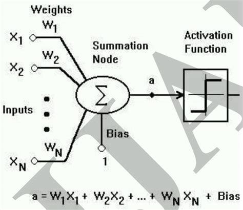 A Simple Perceptron A More Technical Investigation Of A Single Neuron