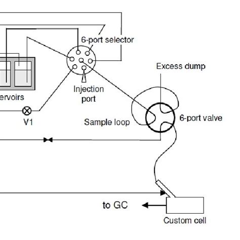 Overview Of The Automatic Injection System AutoInject Showing A The Download Scientific