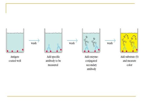 Enzyme Linked Immunosorbent Assay Techniques Ppt