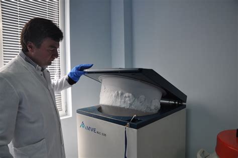 სად და როგორ ინახება ღეროვანი უჯრედები საქართველოში Netgazeti • ჯანდაცვა • Netgazeti Ge