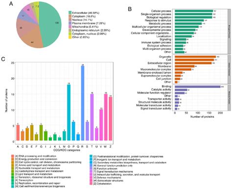 Subcellular Localization And Functional Classification A Subcellular